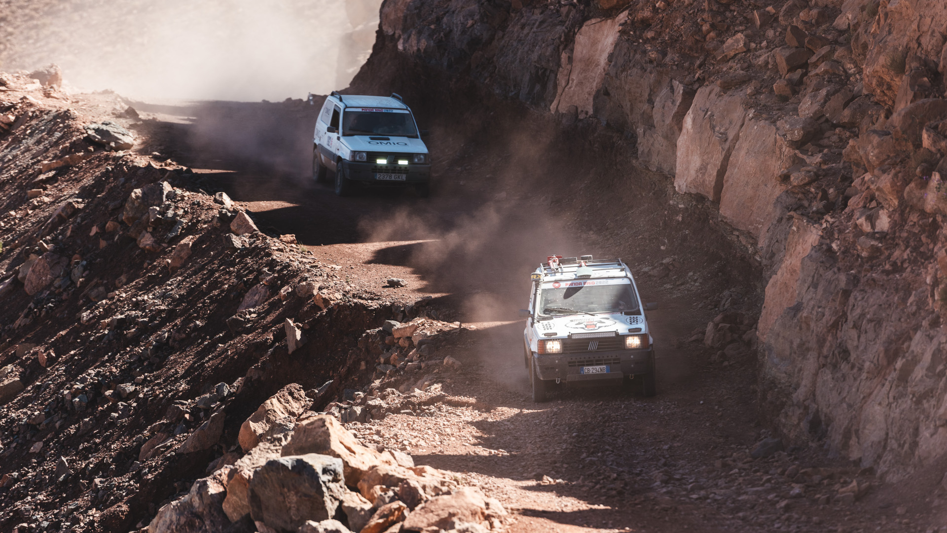 Vecchia Panda fa buon brodo. Anzi, buon cous cous... - Veloce