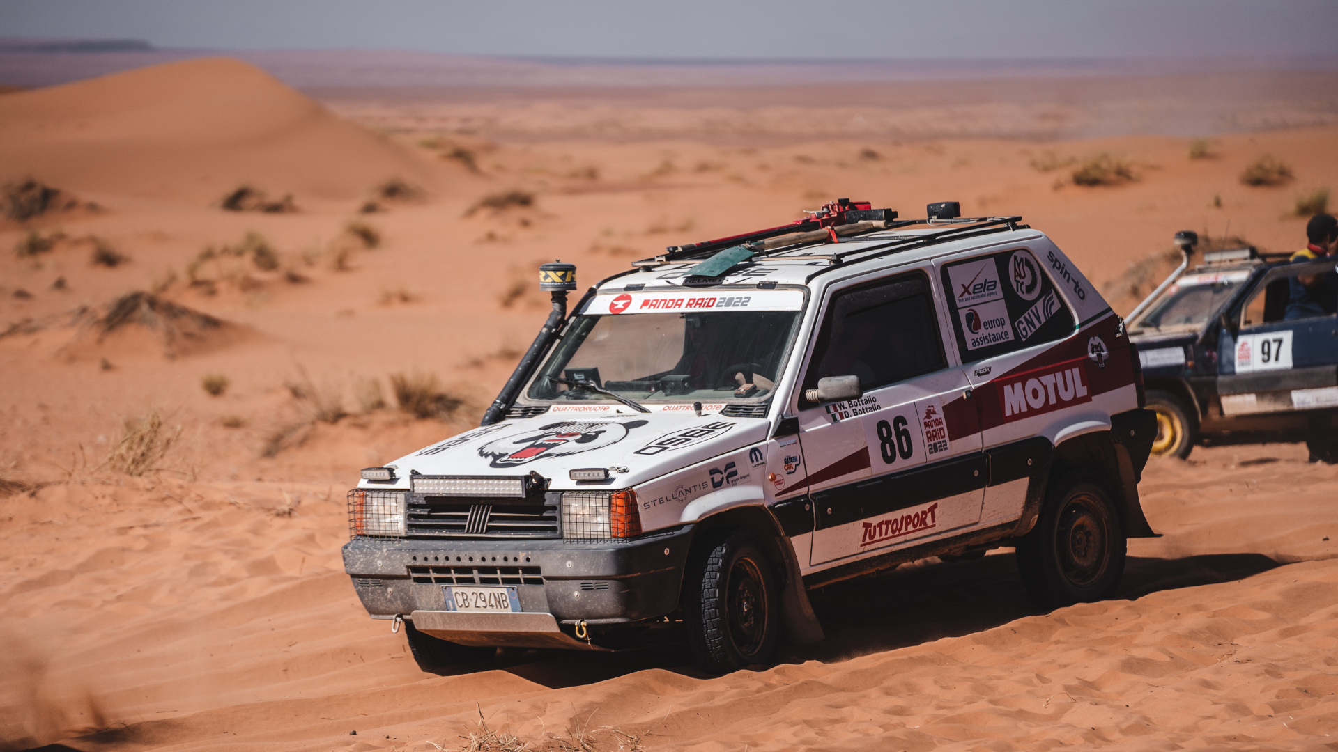 Vecchia Panda fa buon brodo. Anzi, buon cous cous... - Veloce