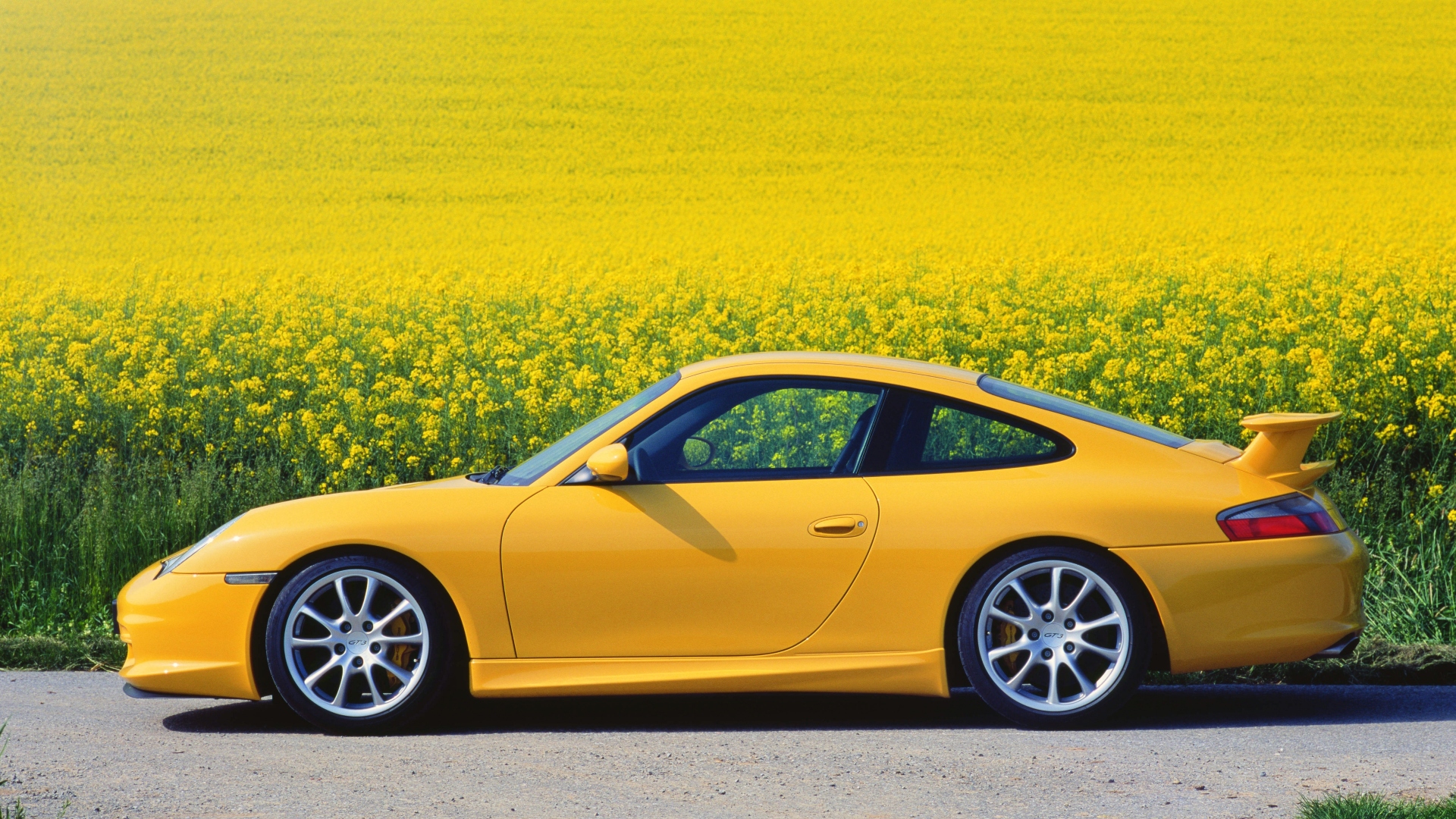 Listino Porsche 911 (996) - prezzo - scheda tecnica - velocità - Veloce